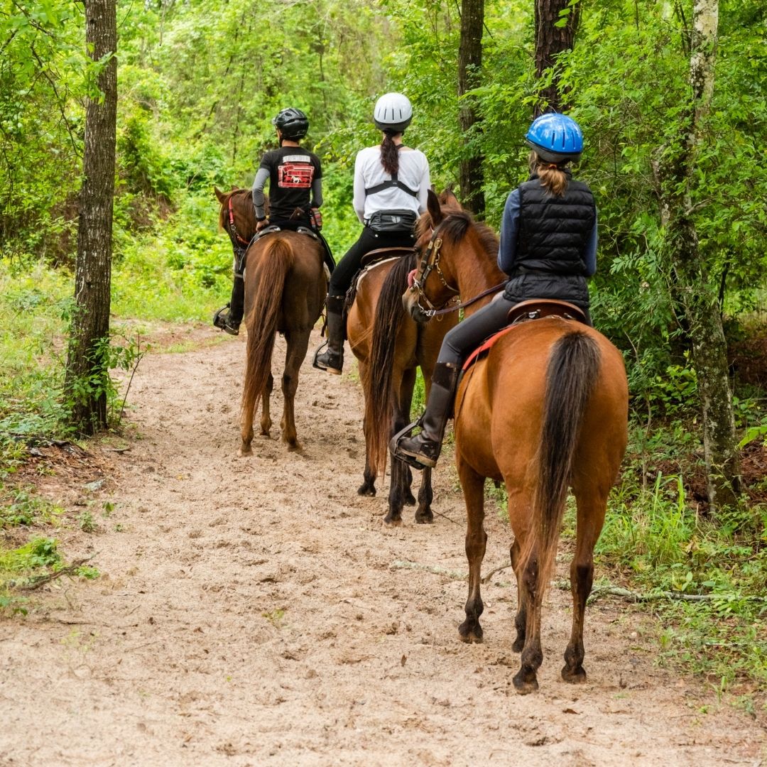 Houston Horseback Riding Trail Rides | Cypress Trails Ranch