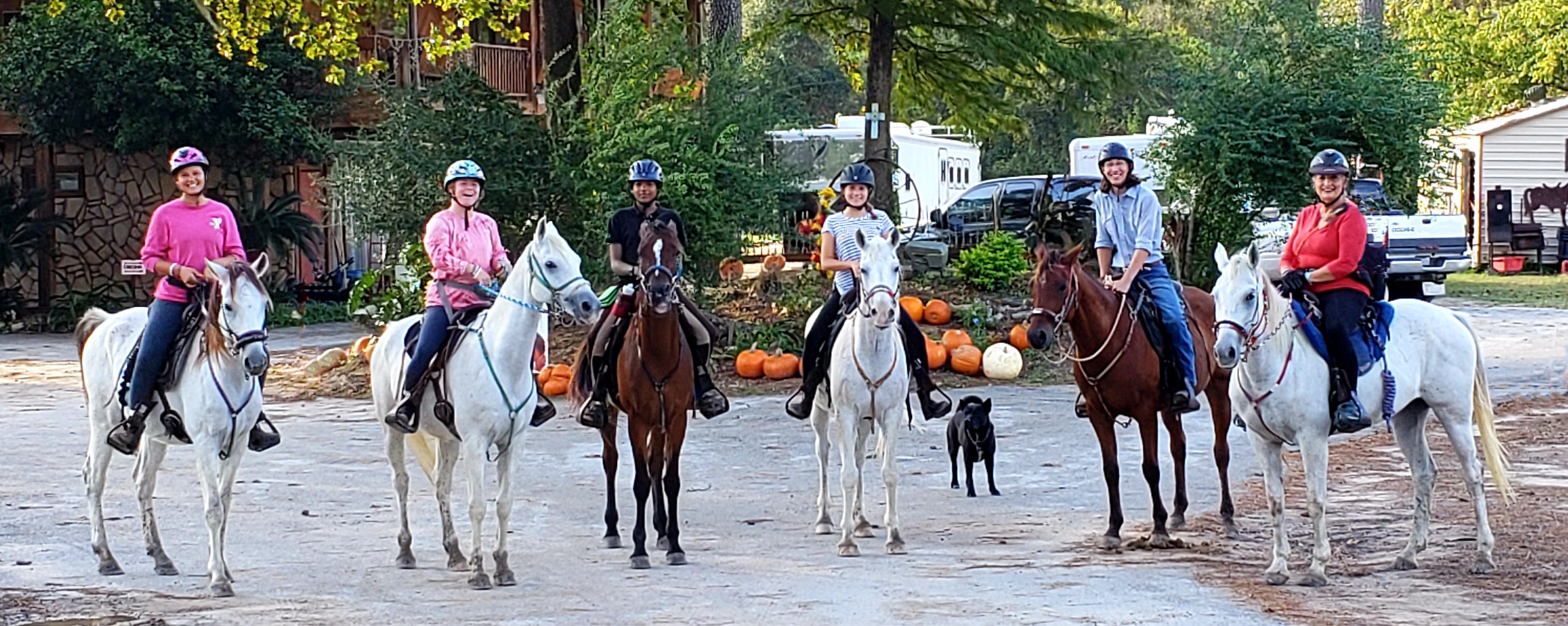About Darolyn Butler TX Equestrian Center | Cypress Trails Ranch