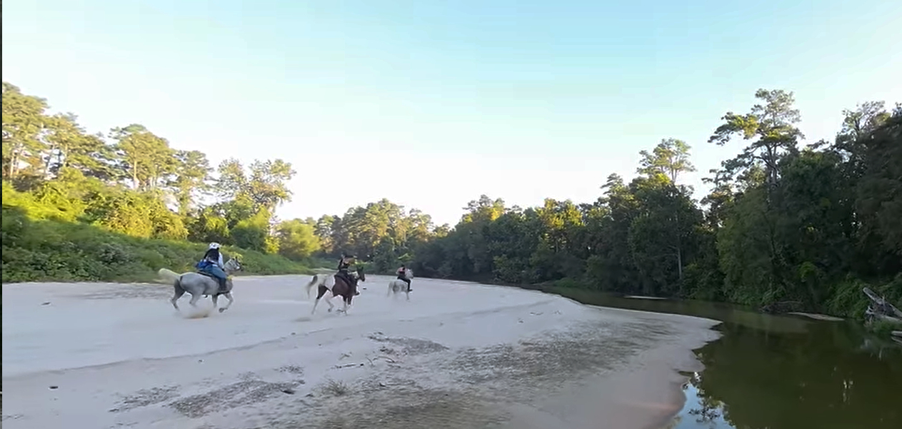 The Majestic Horses And Skilled Riders Of Cypress Trails Ranch In ...